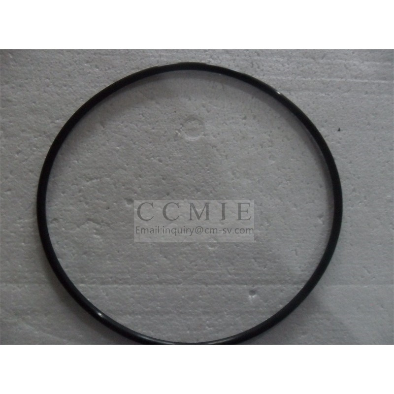China 2021 Good Quality Shangchai Engine Parts - 409191 sealing ring ...