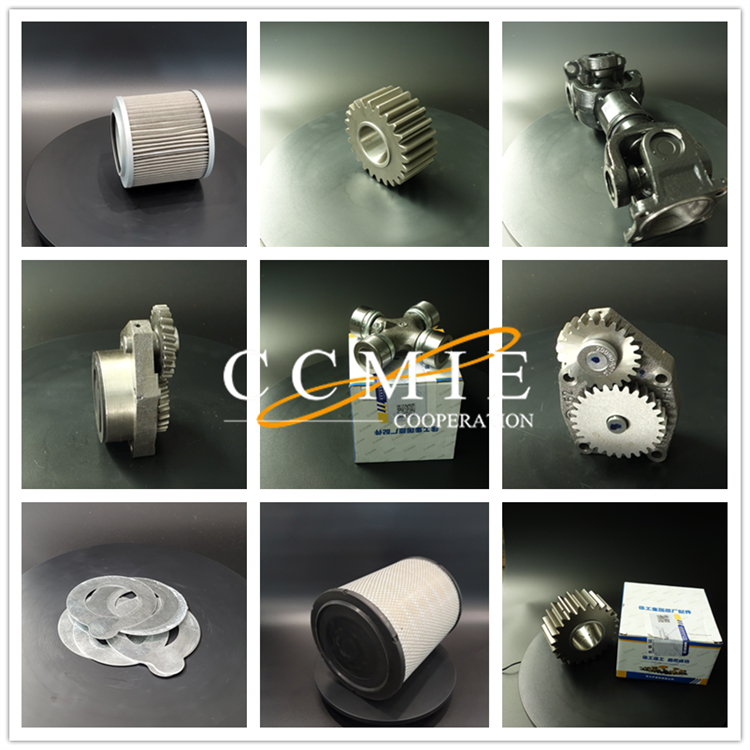 China 53C0366 diesel filter element for Liugong CLGB320C bulldozer ...